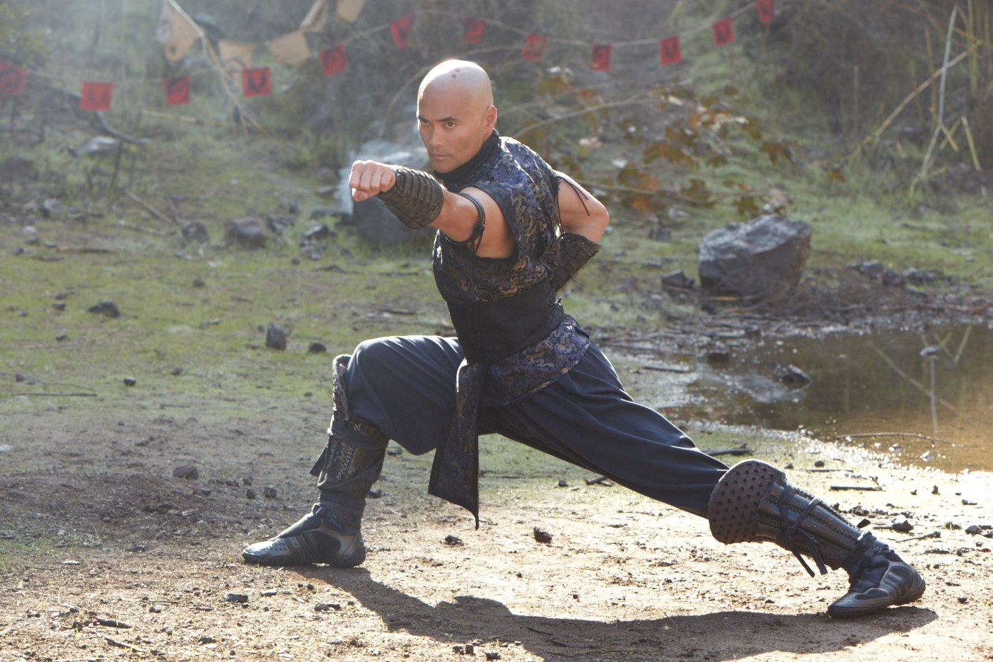 Top 8 Mark Dacascos Movies PACKED with Martial Arts